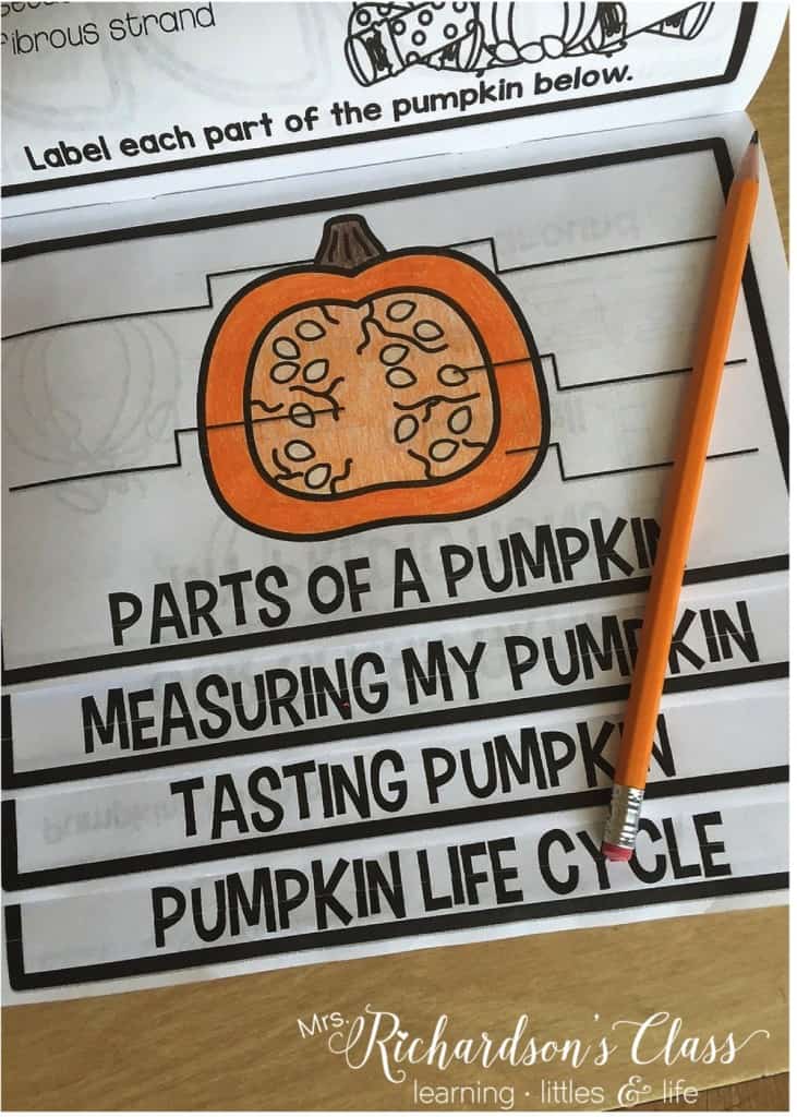 Why Flip Up Books Are Great for Students - Mrs. Richardson's Class