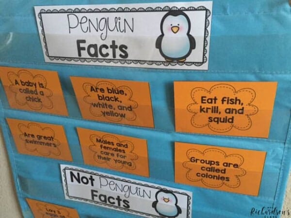 Teaching Science in January - Mrs. Richardson's Class