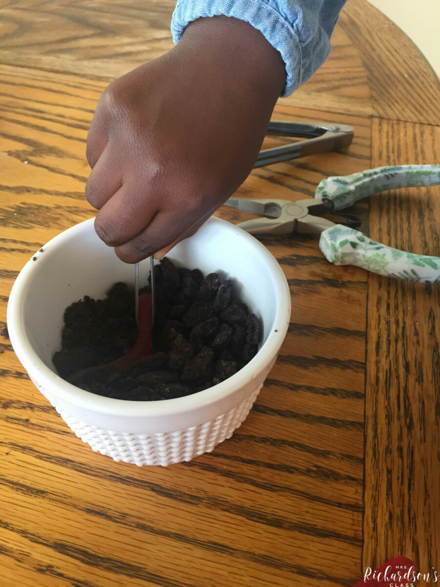 Fun December Science Activities for Elementary - Mrs. Richardson's Class