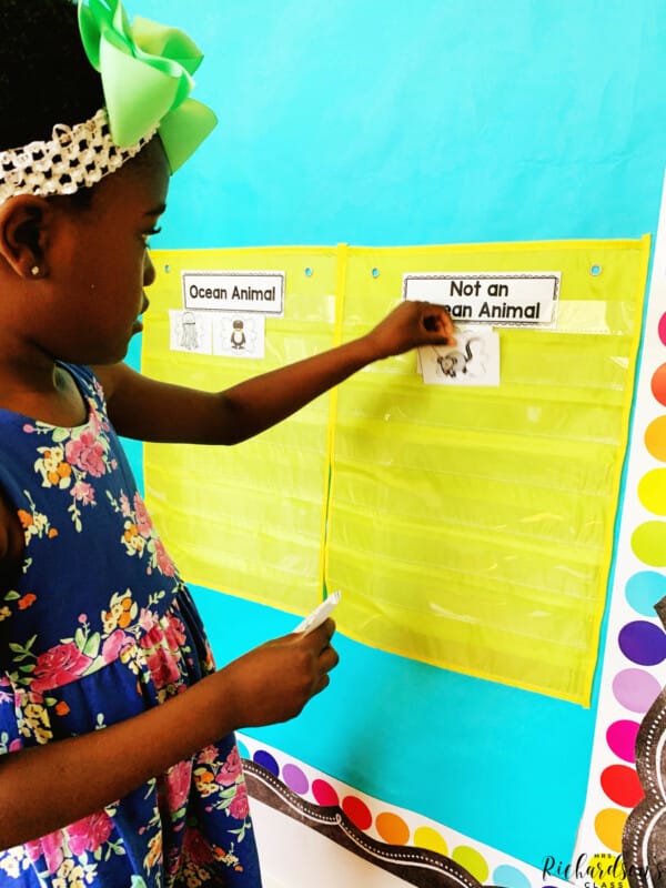 Teach All About the Ocean Lesson Plan Ideas