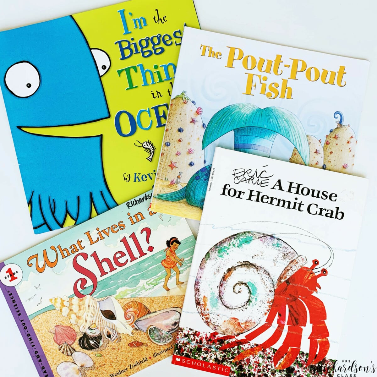 Teach All About the Ocean Lesson Plan Ideas