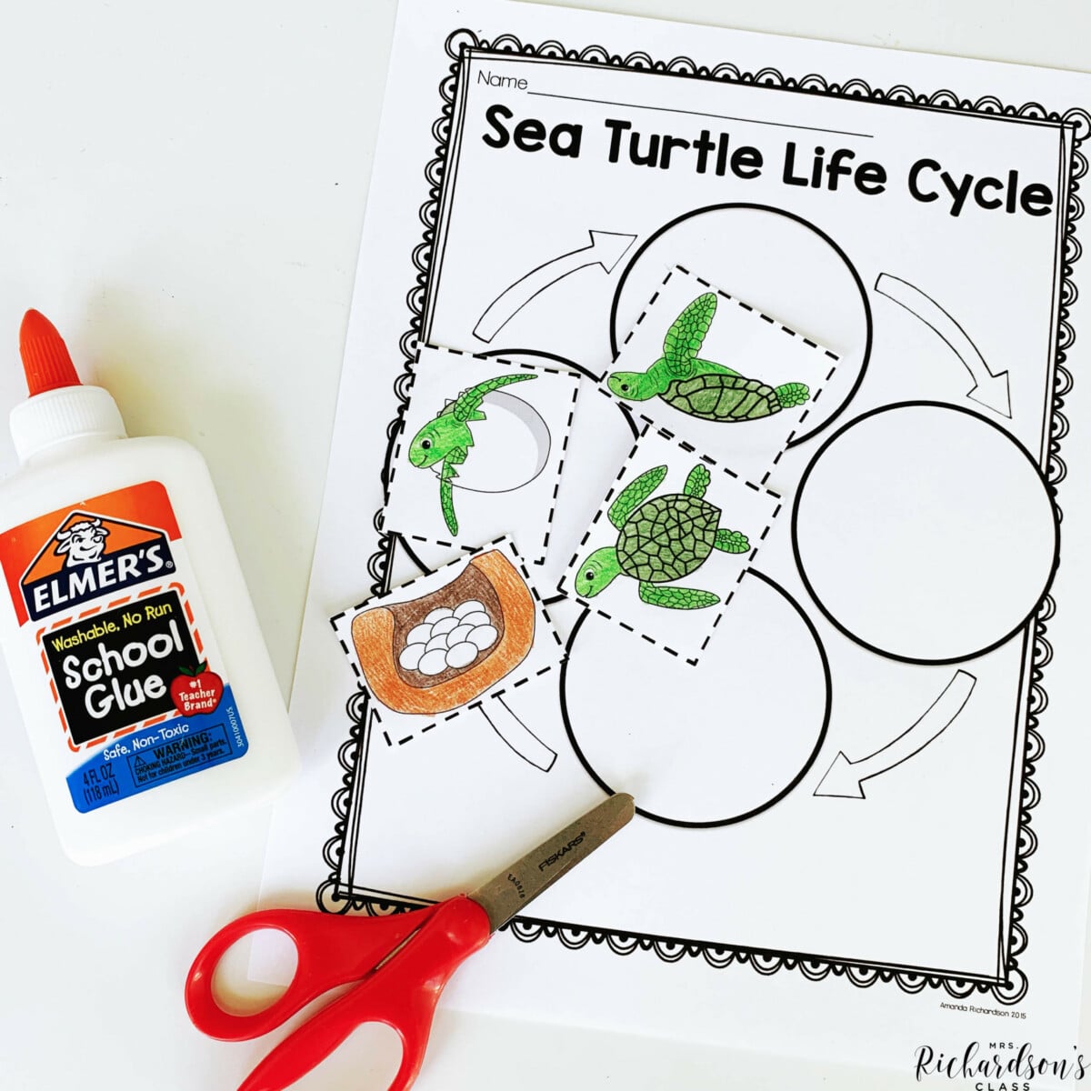 Teach All About the Ocean Lesson Plan Ideas