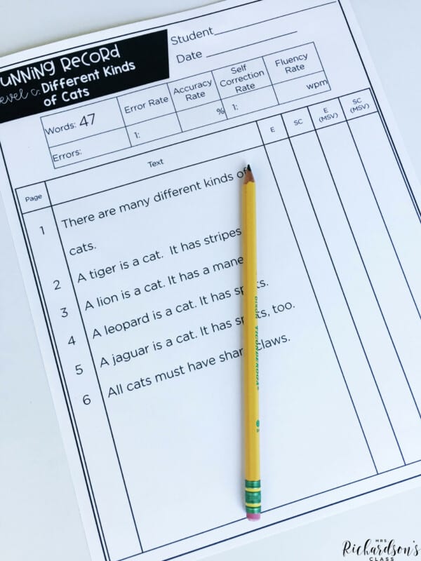 5 Effective Guided Reading Pre-Reading Activities to Try