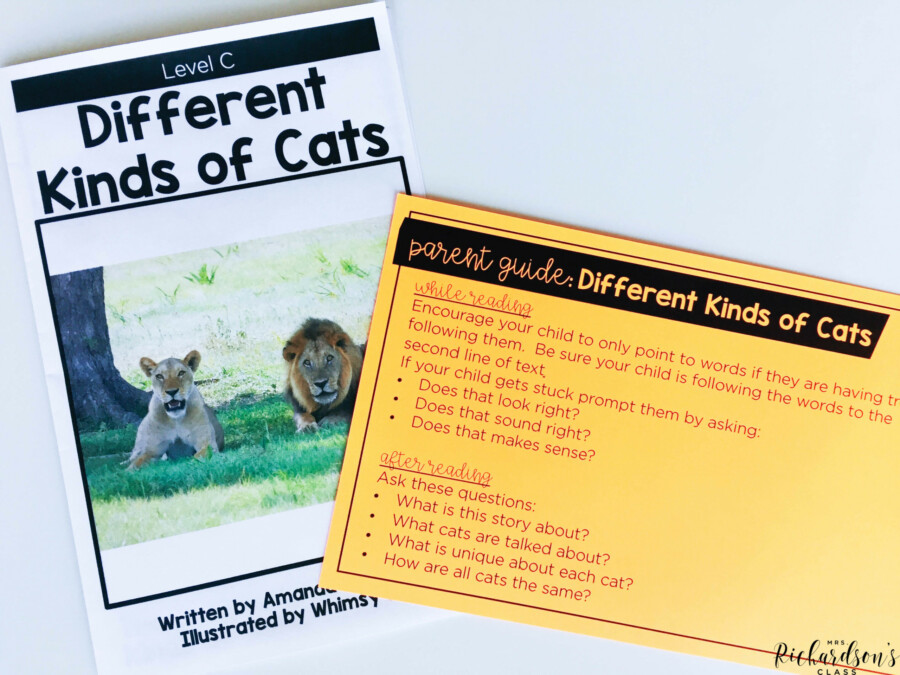 Guided Reading Level C: How to Best Boost Your Readers