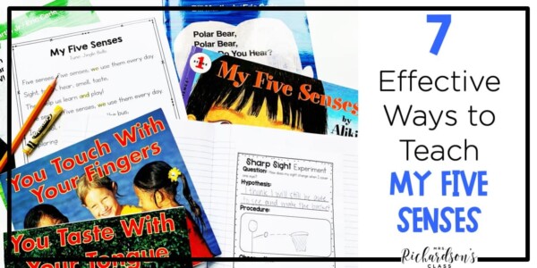 7 Effective Ways to Teach My Five Senses - Mrs. Richardson's Class