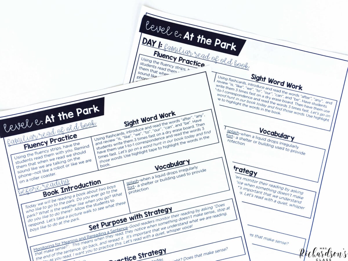 6 Steps to the Best Guided Reading Level E Lesson