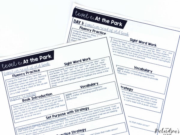 6 Steps to the Best Guided Reading Level E Lesson