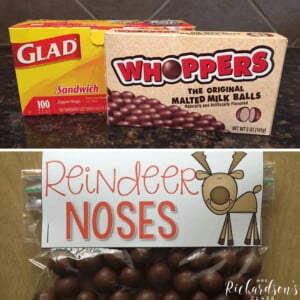 Reindeer Holiday Party FREEBIE - Mrs. Richardson's Class