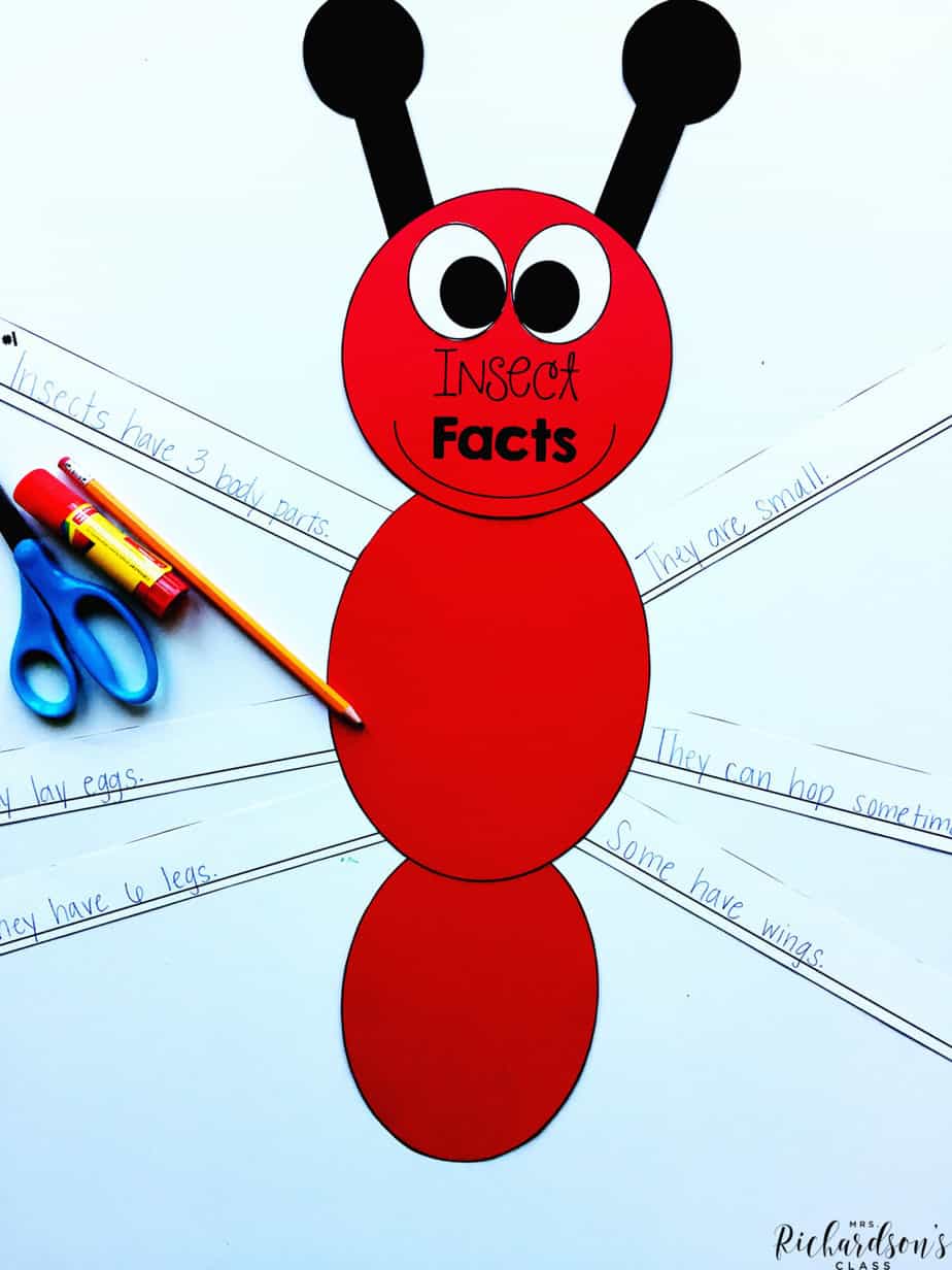 6 Engaging Insect Activities to Help You Teach | Mrs. Richardson's Class