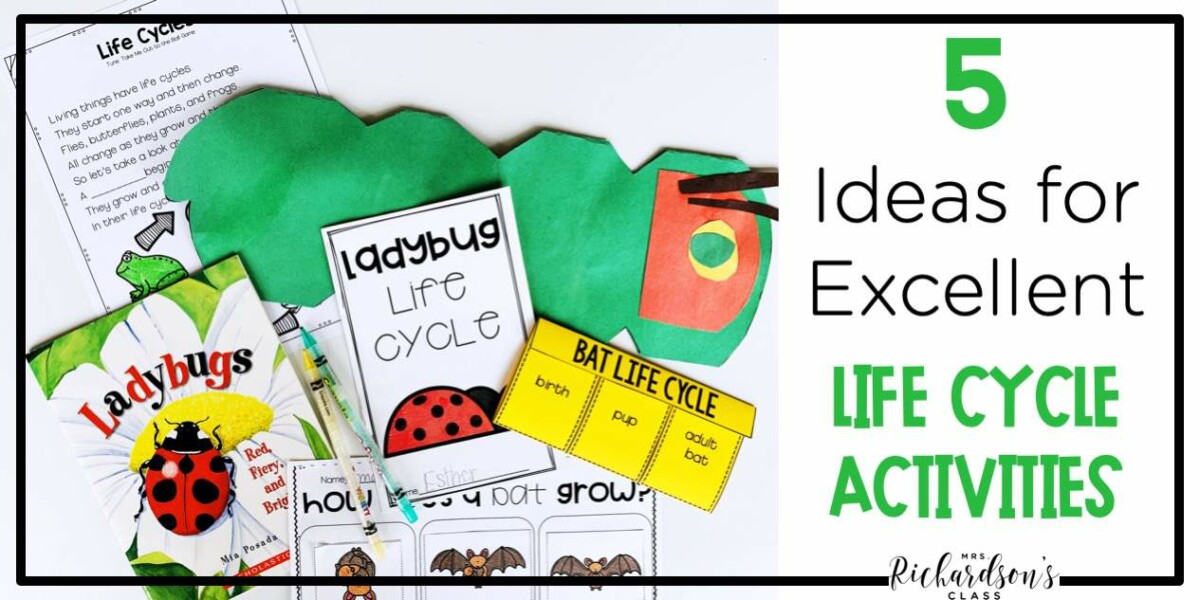 5 Ideas for Excellent Life Cycle Activities - Mrs. Richardson's Class