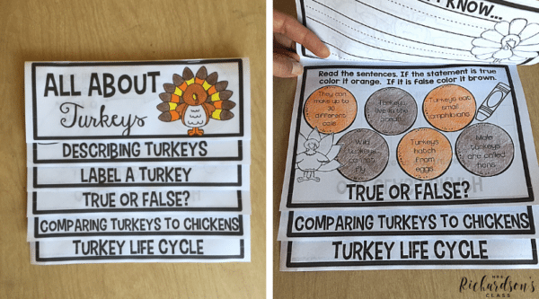 Favorite Thanksgiving and Turkey Activities for Little Learners - Mrs ...