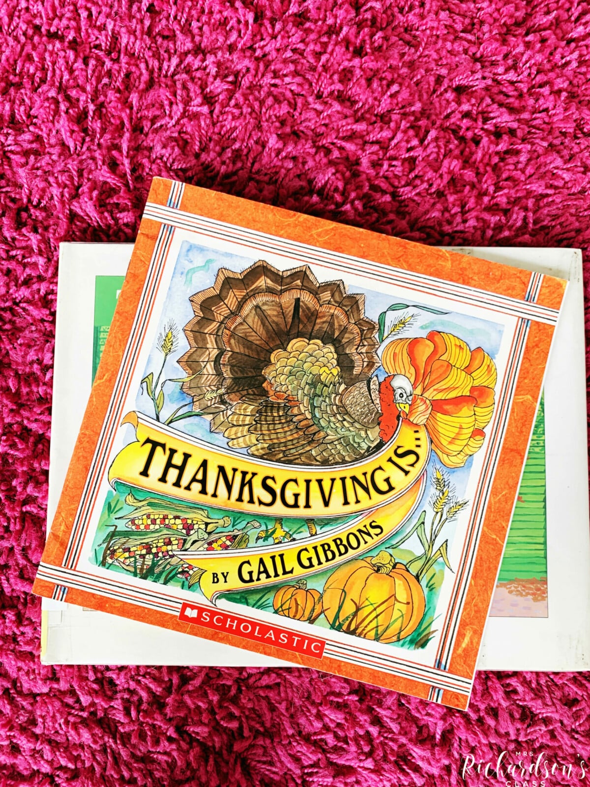 12 Thanksgiving Read Alouds You Will Love