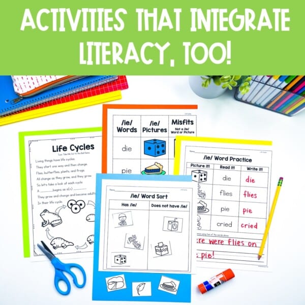 Life Cycles: Chicken, Frog, Horse, Butterfly, Bat, Ladybug, Fish ...