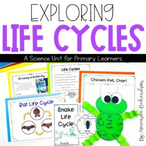Life Cycles: Chicken, Frog, Horse, Butterfly, Bat, Ladybug, Fish ...