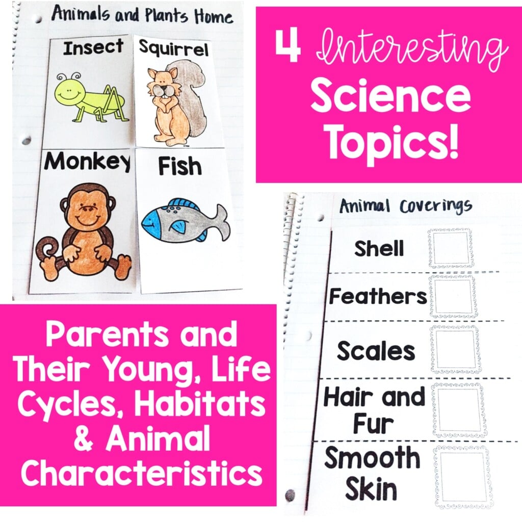 Science Interactive Notebook for First Grade Part 6: Lifecycles ...