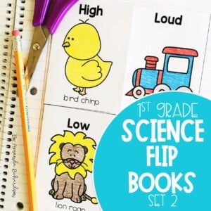 Science Interactive Notebook for First Grade Part 2: Energy, How ...
