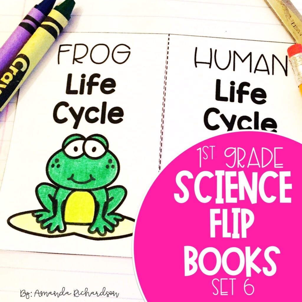 Science Interactive Notebook for First Grade Part 6: Lifecycles ...
