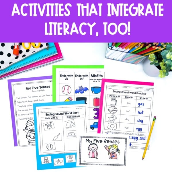 My Five Senses Unit: Activities, Experiments, Interactive Notebook ...