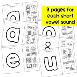 CVC Short Vowel Sorts Cut and Paste Activities - Mrs. Richardson's Class