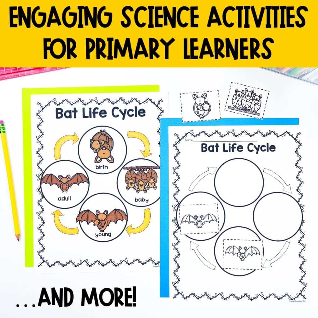 Mammals Unit: Attributes, Life Cycles, Interactive Notebook Pages and ...
