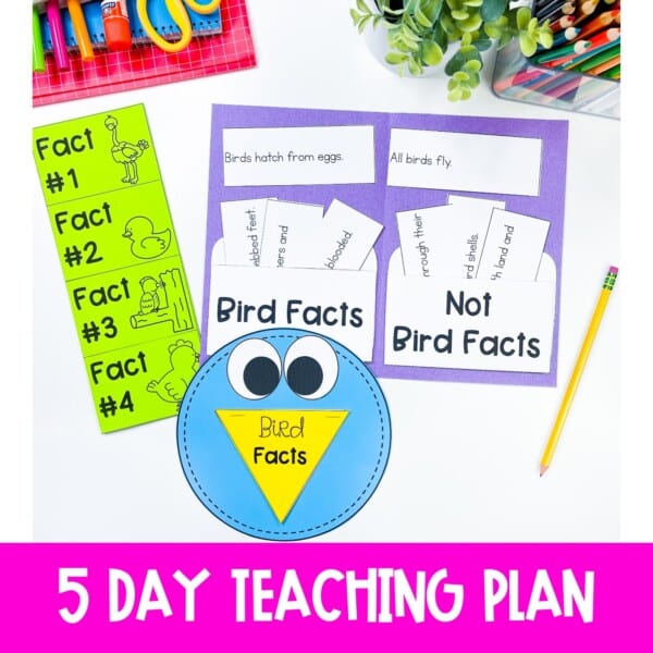 Birds Unit: Life Cycle, Facts, Interactive Notebook Pages and More ...
