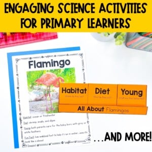 Birds Unit: Life Cycle, Facts, Interactive Notebook Pages and More ...