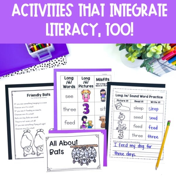 All About Bats Unit: Life Cycle, Fact Sheets, Interactive Notebook ...