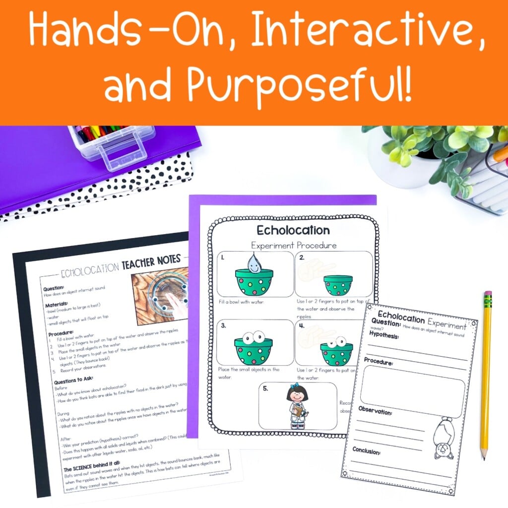 Science for October BUNDLE : Forms of Energy, Spiders, Force & Motion ...