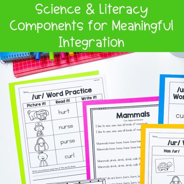 Science for December BUNDLE: Reindeer, Mammals, Snow, & Birds - Mrs ...