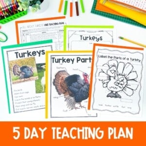 All About Turkeys Unit: Turkey Life Cycle, Turkey Writing, Turkey Craft ...