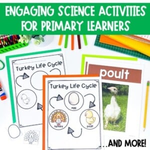 All About Turkeys Unit: Turkey Life Cycle, Turkey Writing, Turkey Craft ...