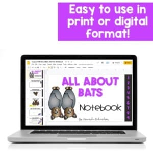 All About Bats Flip Up Book - Mrs. Richardson's Class