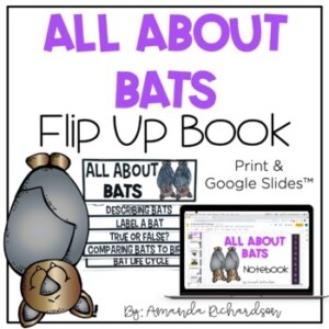 All About Bats Flip Up Book - Mrs. Richardson's Class
