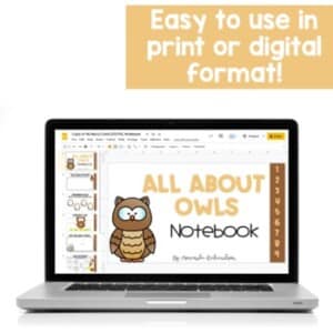 All About Owls Flip Up Book - Mrs. Richardson's Class