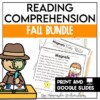Reading Comprehension Passages with Questions: An Easy to Use FREEBIE ...