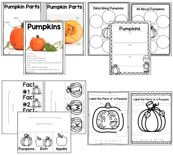 5 of the Best Pumpkin Activities for Kindergarten and First Grade