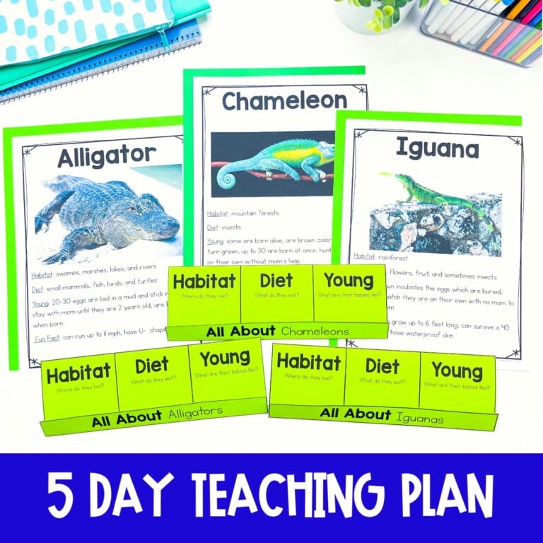 Reptiles Unit: Fact Pages, Life Cycle, Interactive Notebook Pages, and ...