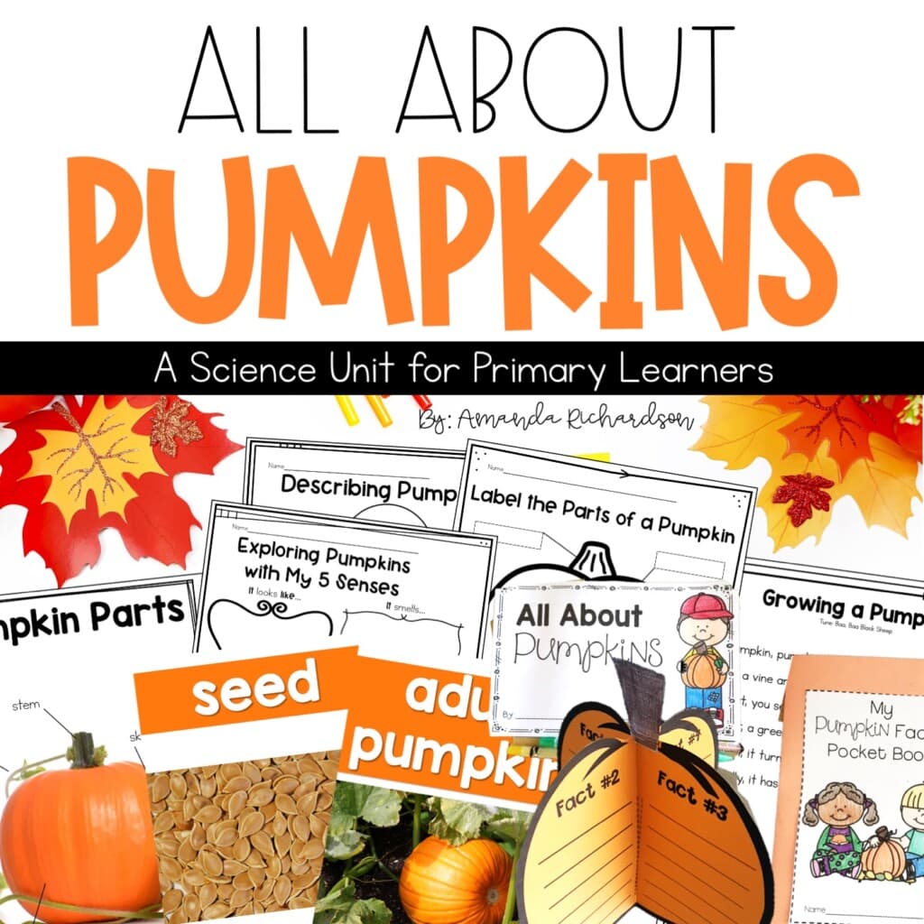 10 Guided Reading Tools from Dollar Tree - Mrs. Richardson's Class