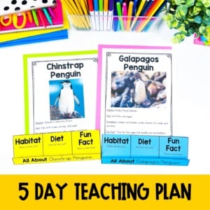Penguins Unit: Fact Pages, Life Cycle, Interactive Notebook Pages and ...