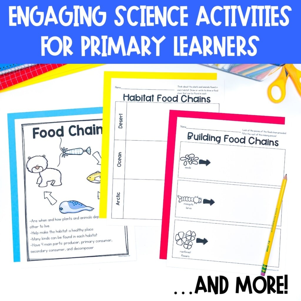 Habitats Unit: Exploring Animal Habitats and Food Chains - Mrs ...