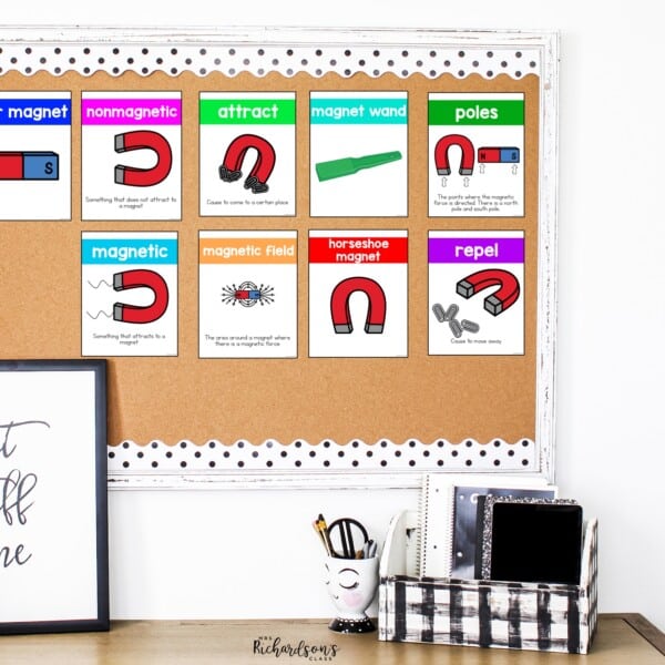 Must-Try Magnet Activities for Your Next Science Magnet Unit