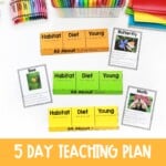 Insects and Bugs Unit: Insect Activities, Insect Life Cycles ...