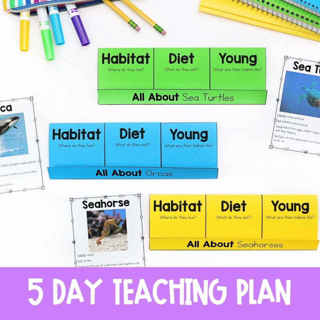 Ocean Unit: A Study of Ocean Animals and Their Habitat - Mrs ...