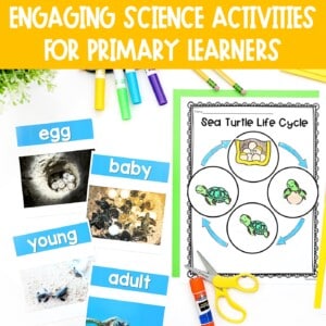 Ocean Unit: A Study of Ocean Animals and Their Habitat - Mrs ...