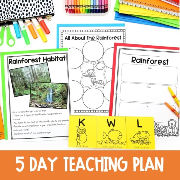 Rainforest Unit: A Study of Rainforest Animals and Their Habitat - Mrs ...