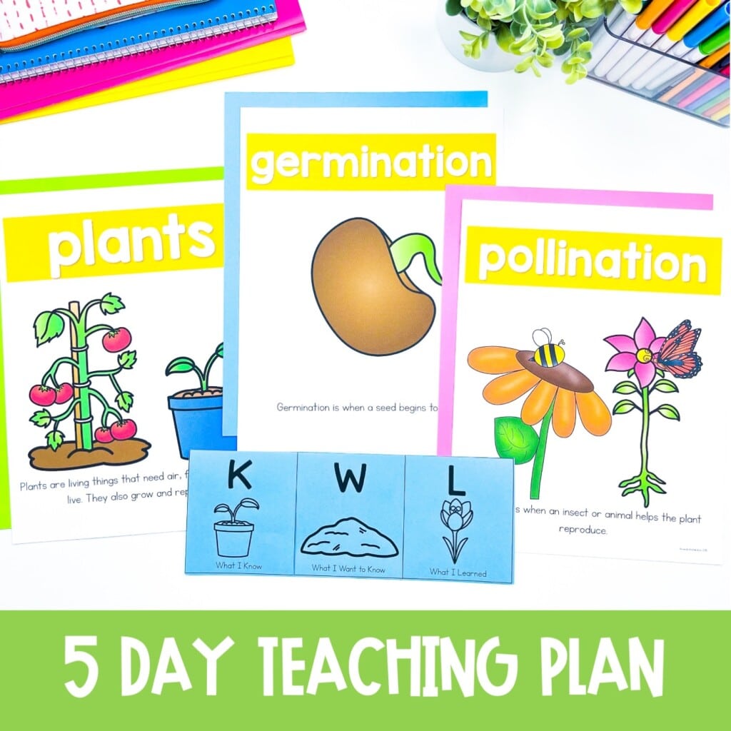All About Plants Unit: Plant Life Cycle, Parts of a Plant, and More ...
