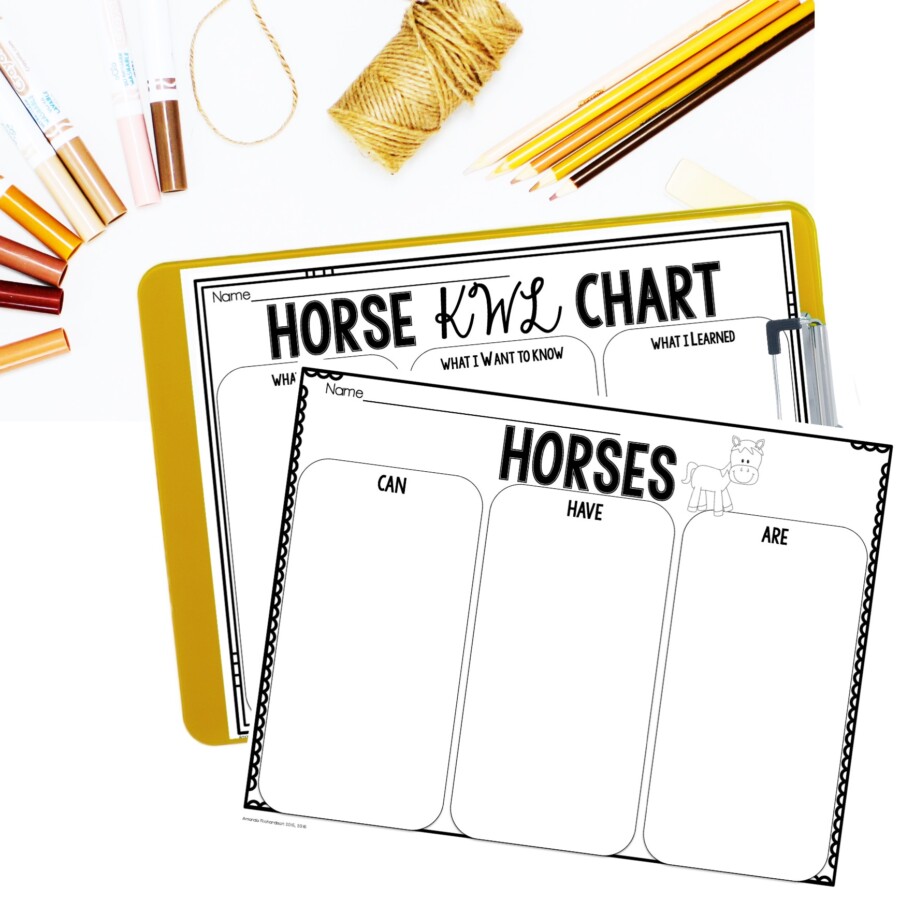 Horse Life Cycle - Mrs. Richardson's Class