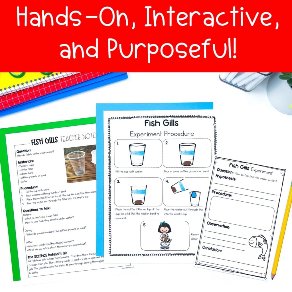 Science for May BUNDLE: Habitats, Ocean, Fish, and the Zoo - Mrs ...