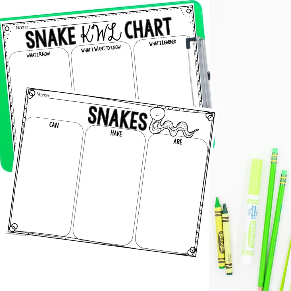 Snake Life Cycle - Mrs. Richardson's Class