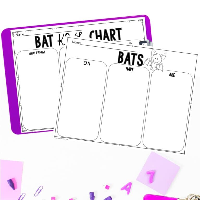 Bat Life Cycle - Mrs. Richardson's Class